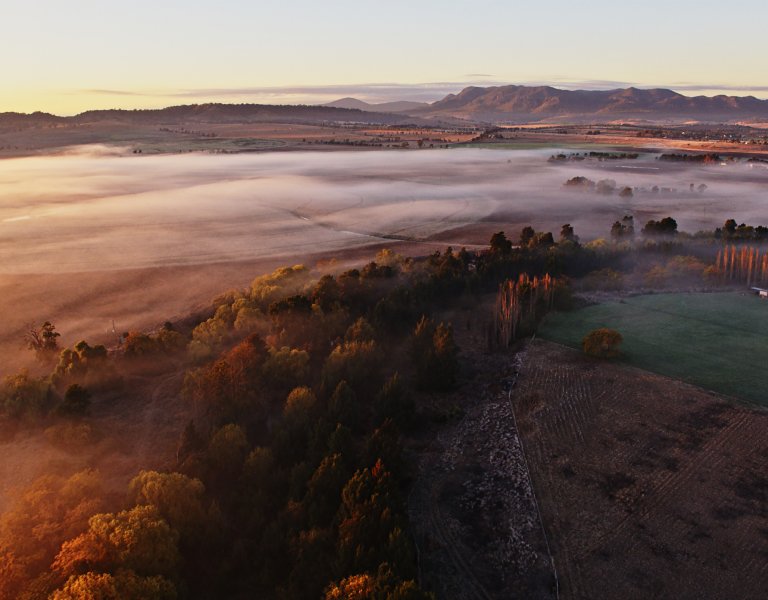 Muswellbrook Shire Council: Official Website of Muswellbrook, NSW